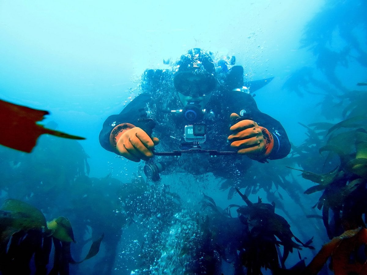 North Atlantic Diving