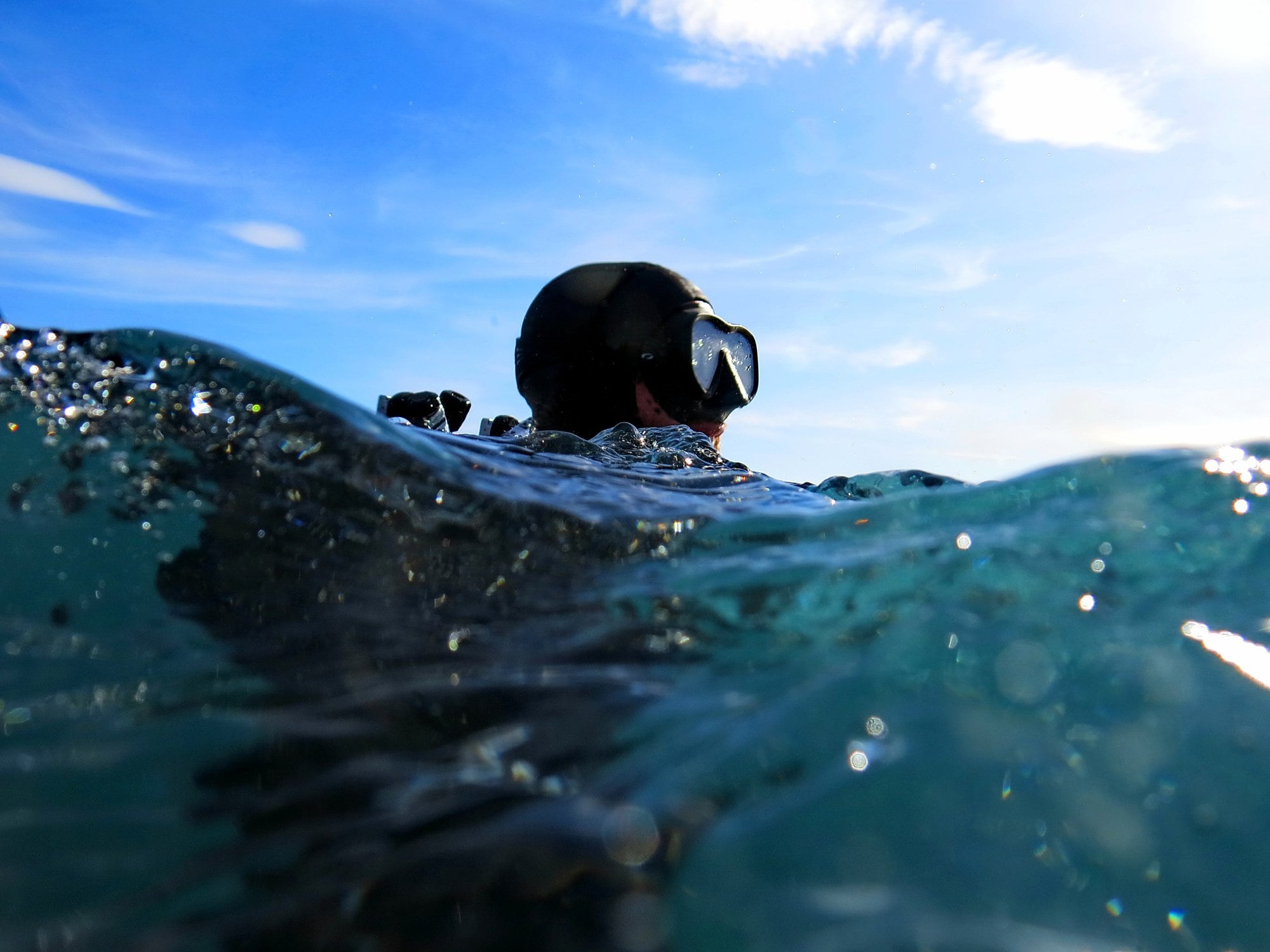 North Atlantic Diving